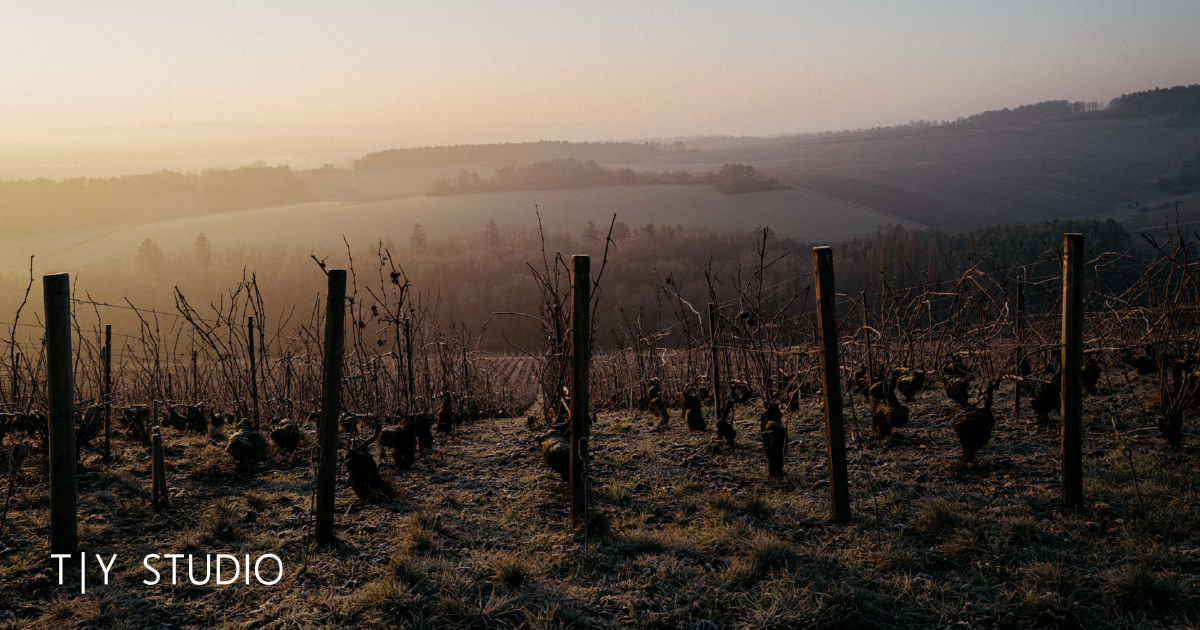 TY Studio - Alexandre Bonnet