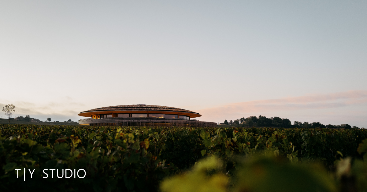 TY Studio - Le Dôme